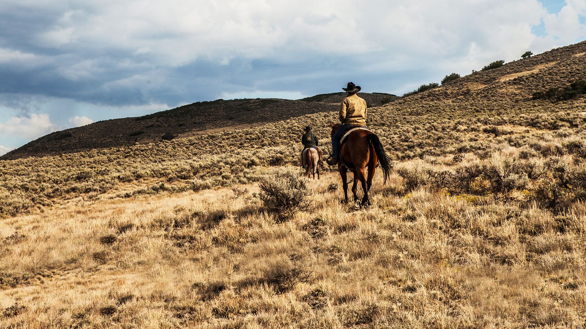 Yellowstone TV Series Enough Substance To Last Write To Reel